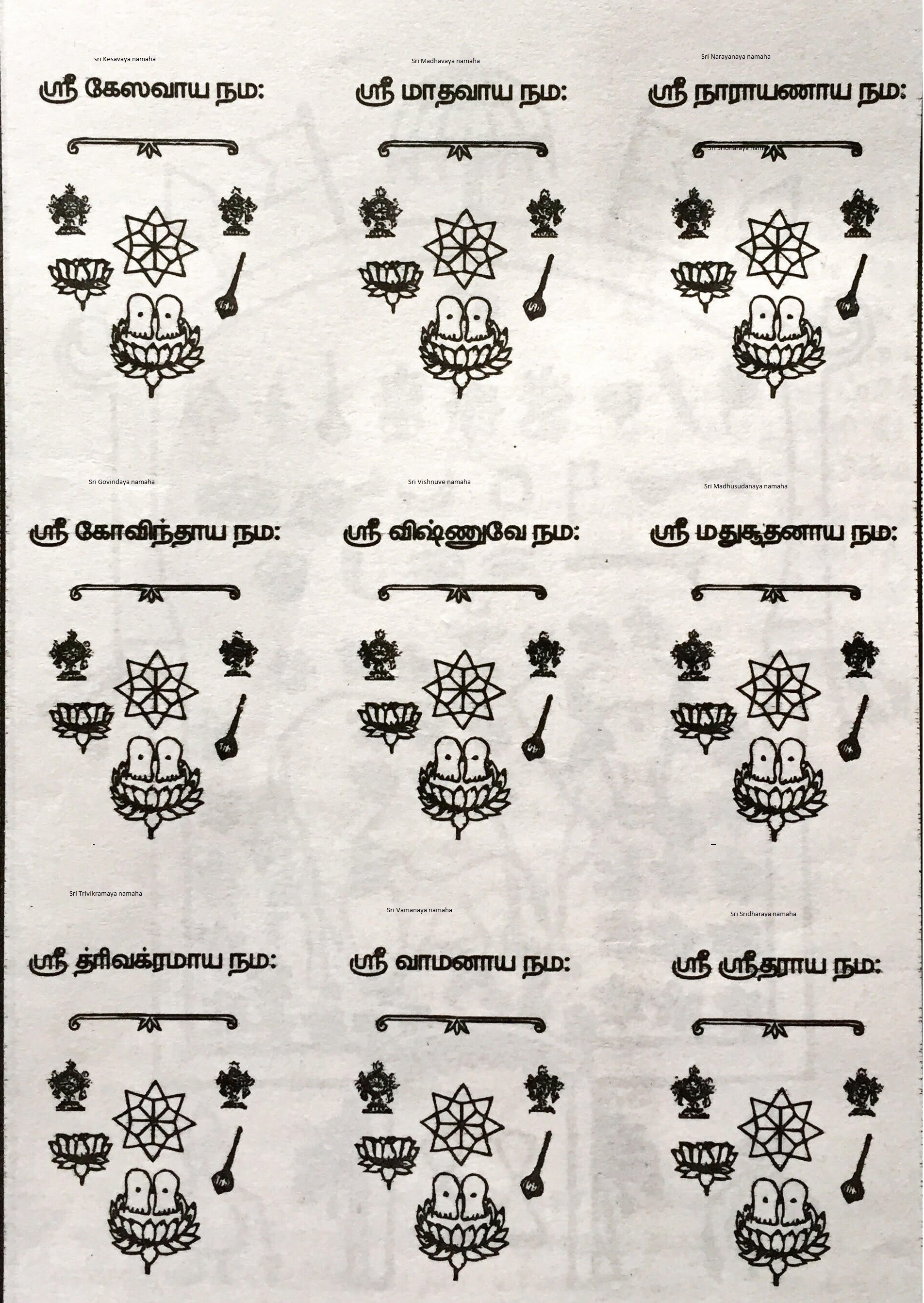 Sri sridhara padma rangoli – Madhwa